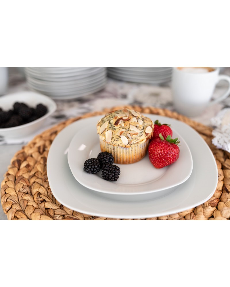 Caterer's Set of 12 Square Dinner Plates 10.5"